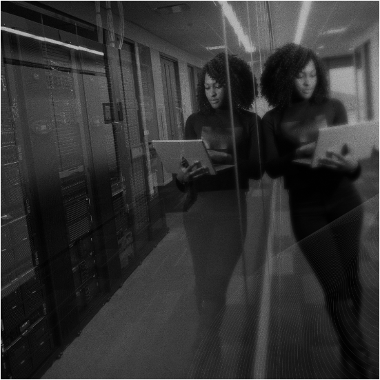 Our Services | Software Engineering Services | Pivotl